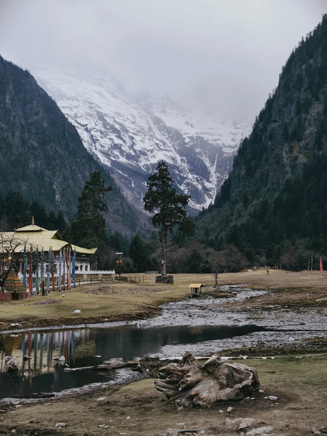 Yubeng Trekking Guide: Ice Lake, Sacred Waterfall & Hidden Wilderness ...